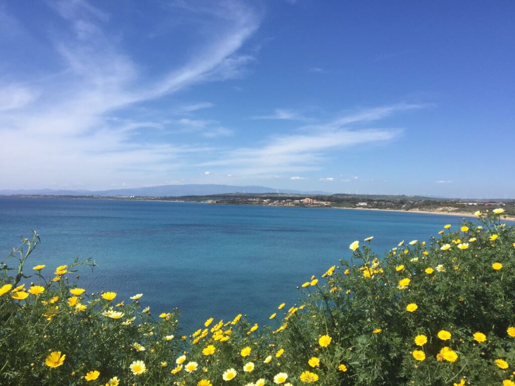 Art and culture - Hotel Villaggio S.Antonio - Isola Capo Rizzuto